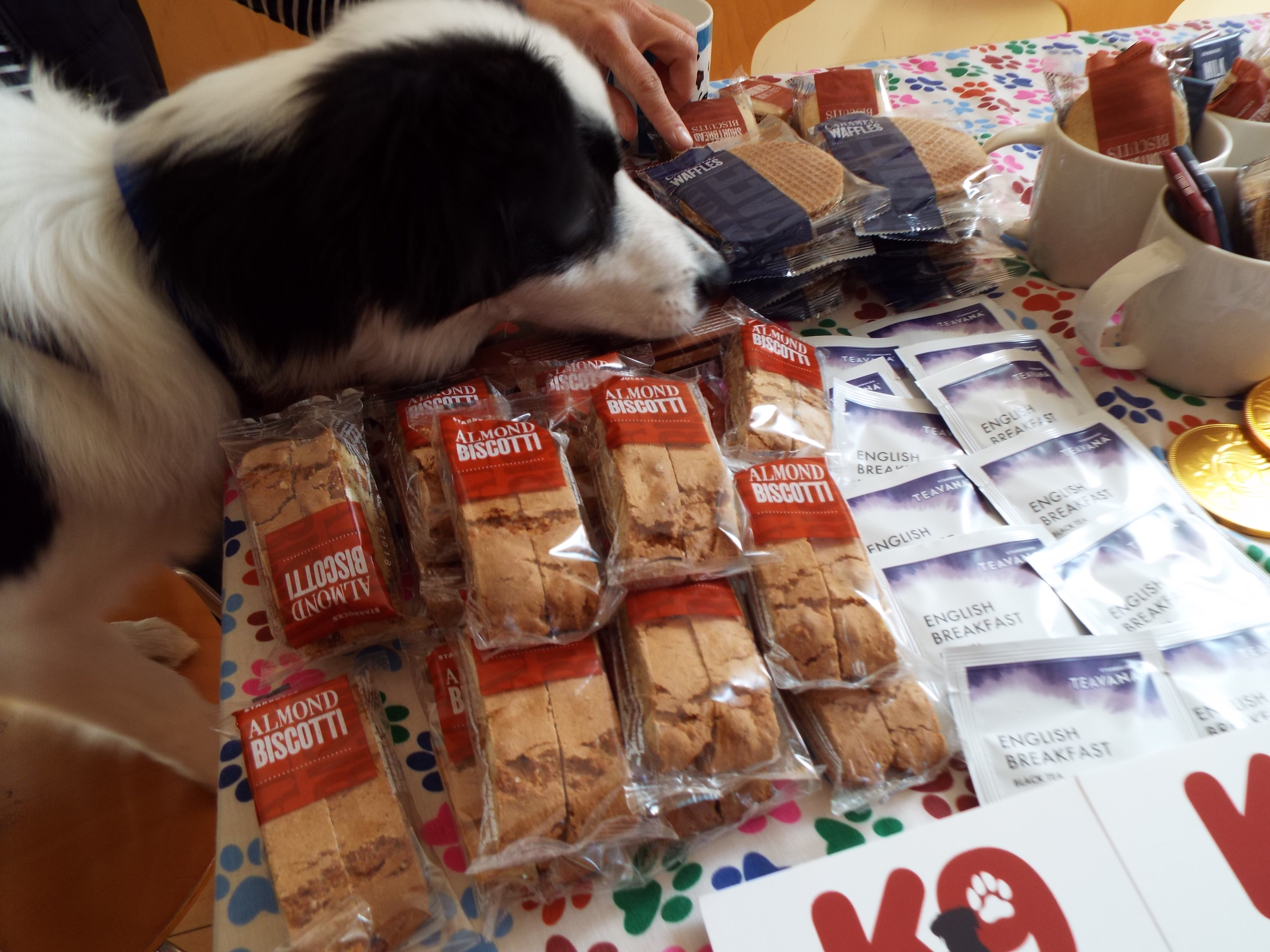 The K9 Project - The K9 Cafe | Neighbourly