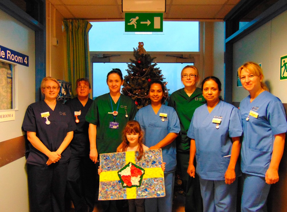 Elly's Ward 10 Flag Appeal | Neighbourly