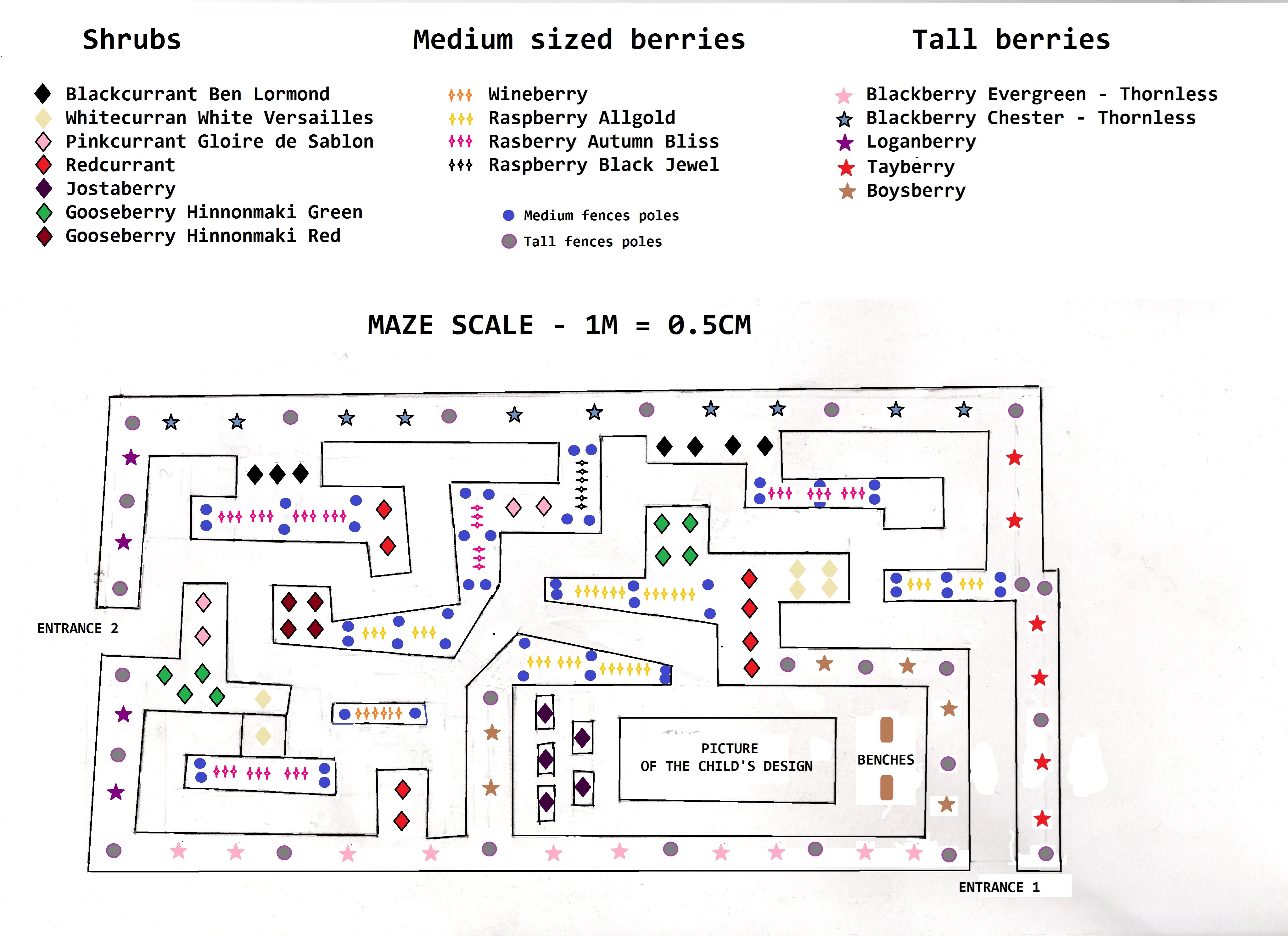 The Berry Maze Project | Neighbourly