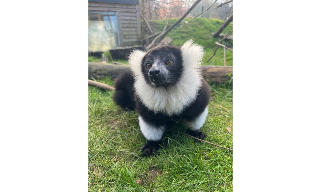 Beale Wildlife Park and Gardens (The Child Beale Trust) | Neighbourly