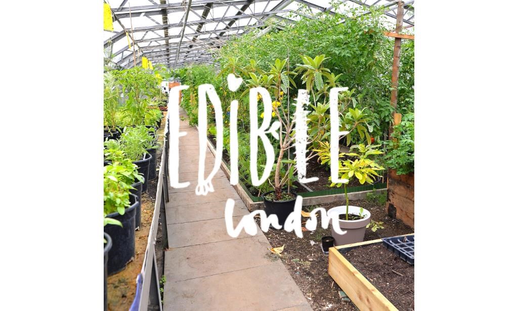 Edible London | Neighbourly