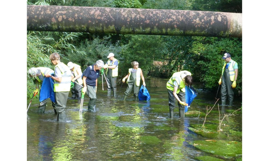 'Yellow Fish' drain marking | Neighbourly