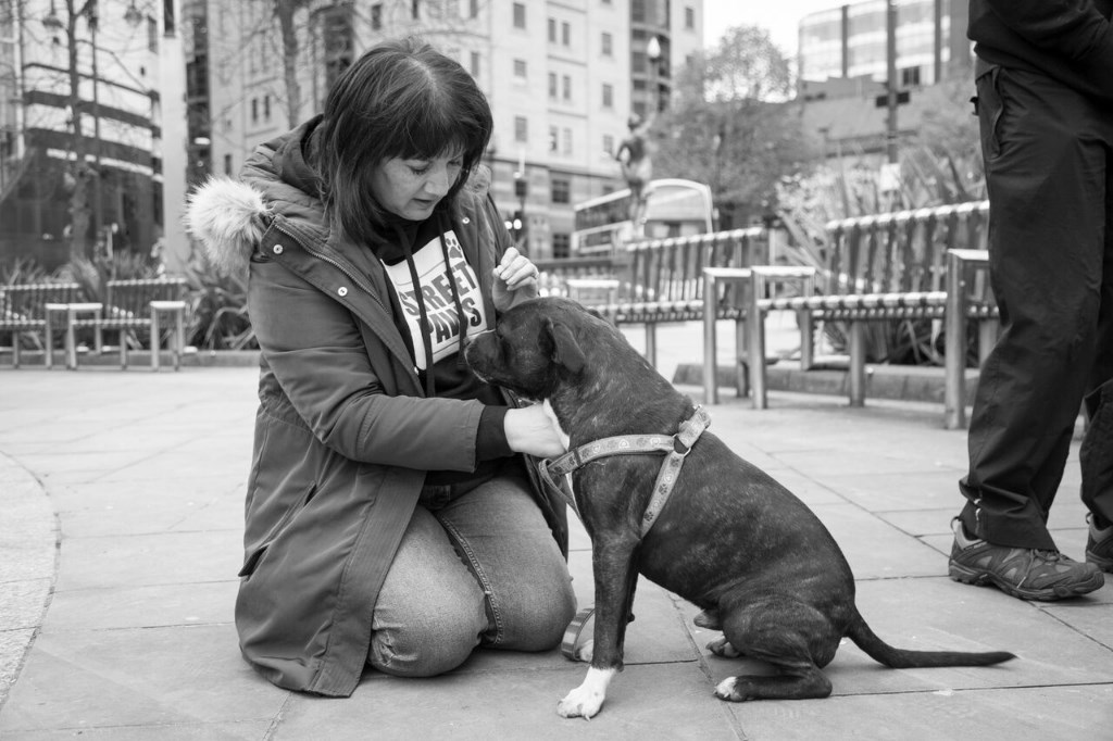 Street Paws | Neighbourly