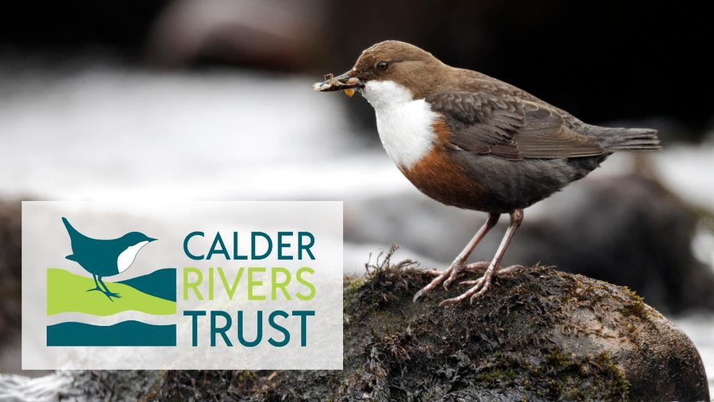 Calder Rivers Trust | Neighbourly