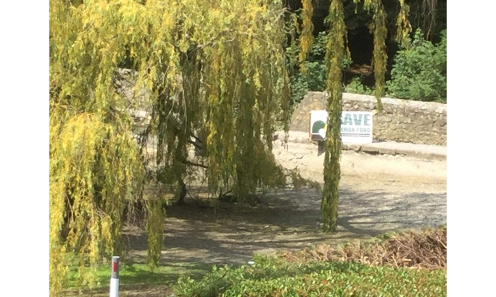 Save Fonmon Pond | Neighbourly