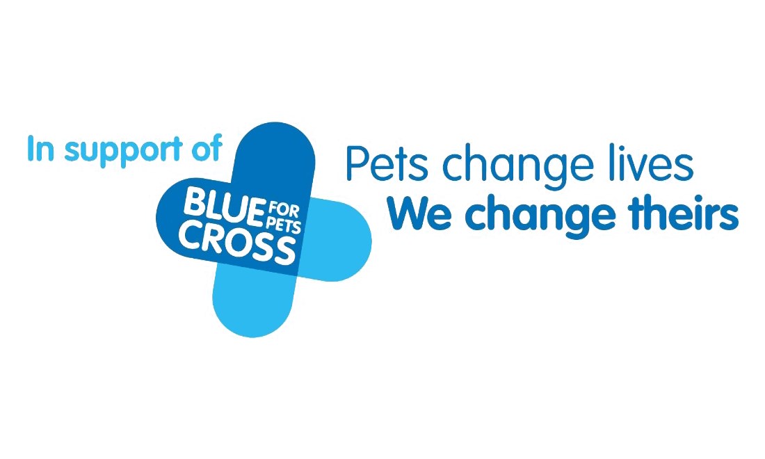 Blue Cross for pets | Neighbourly