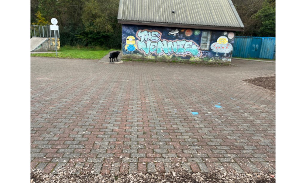 Knightsridge Food Outlet - The Knightsridge Adventure Projec | Neighbourly