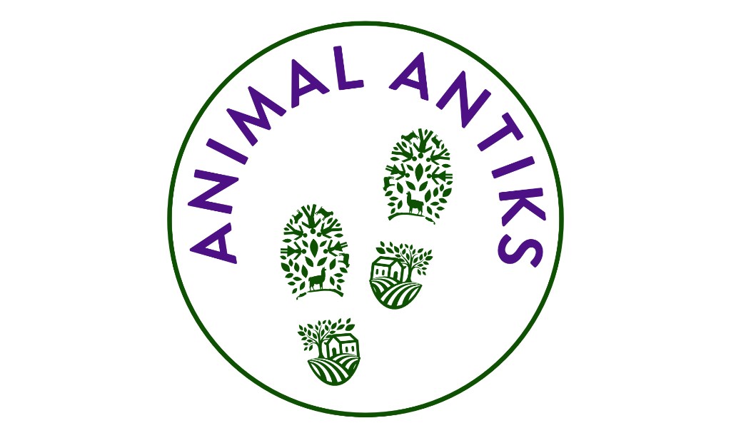 Animal Antiks | Neighbourly