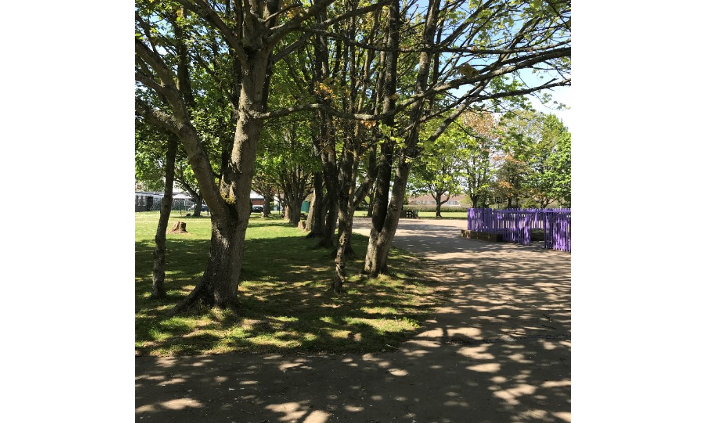 Treetops Primary Academy | Neighbourly