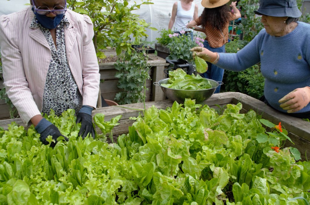 Horticultural Support Hub - fundraising | Neighbourly