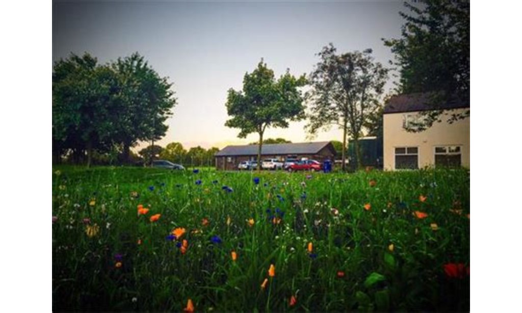 Gregson Green Gregson Lane | Neighbourly