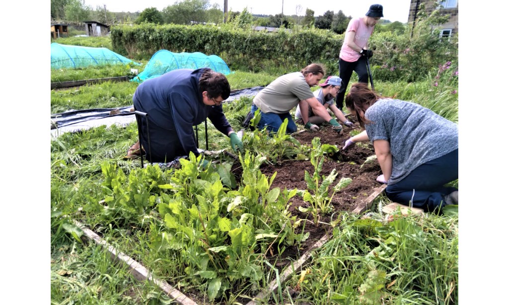 Greave House Farm Trust - volunteering | Neighbourly