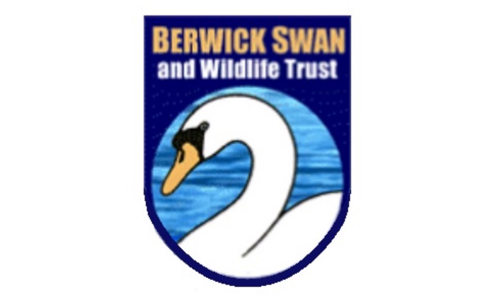 Berwick Swan And Wildlife Trust | Neighbourly