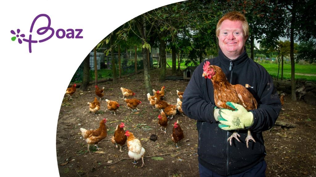 The Boaz Project | Neighbourly