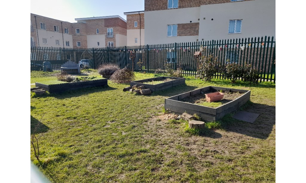 Therfield School Eco garden | Neighbourly