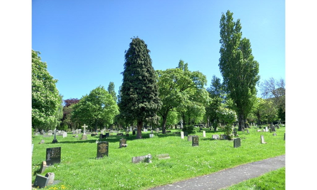 Friends Of Eston Cemetery | Neighbourly