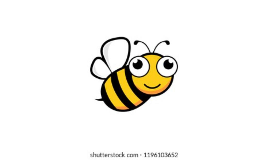 Ingol Community Primary School | Neighbourly