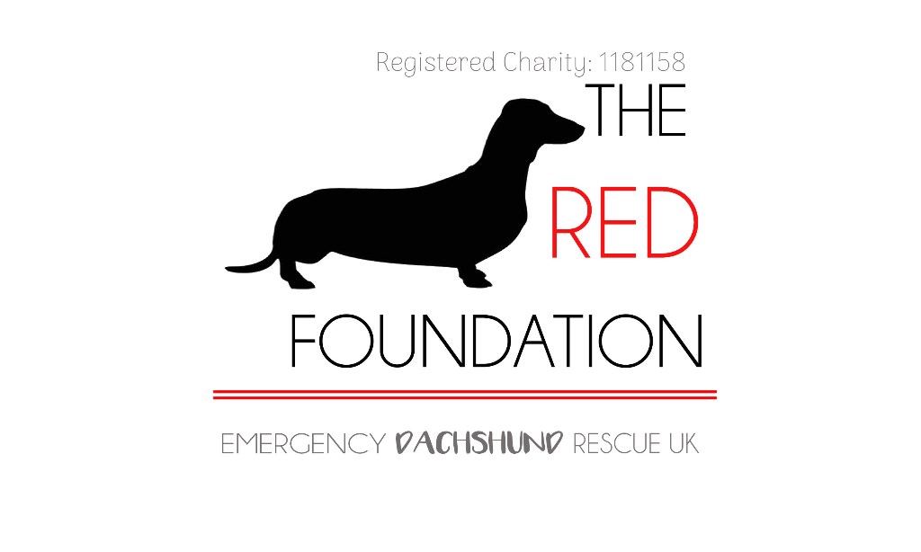 The Red Foundation - Emergency Dachshund Rescue | Neighbourly