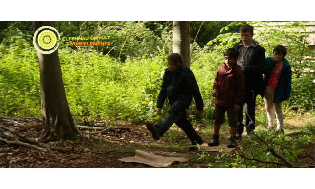 Wild Elements Cic | Neighbourly