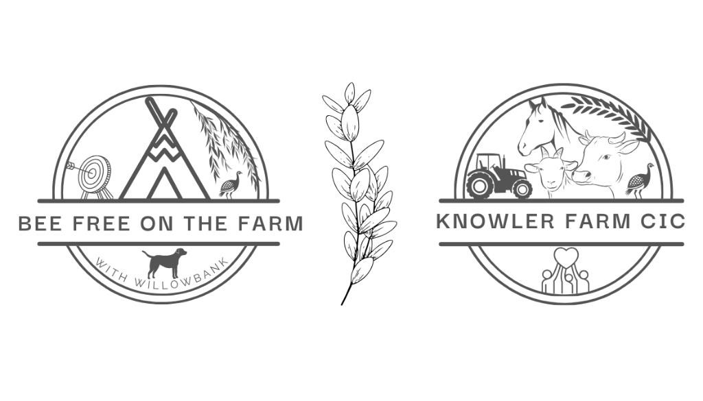 Bee Free on The Farm with Willowbank and Knowler Farm CIC | Neighbourly
