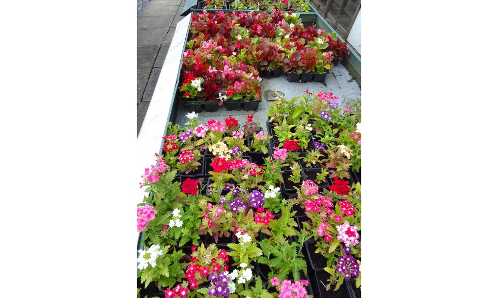 Hunloke Community Garden | Neighbourly