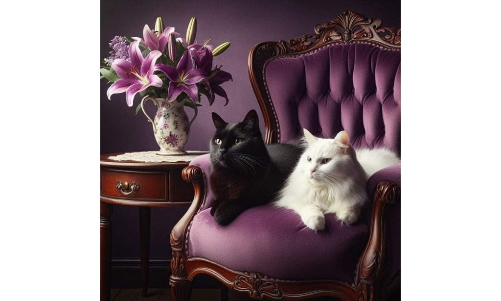 Cats Protection | Neighbourly