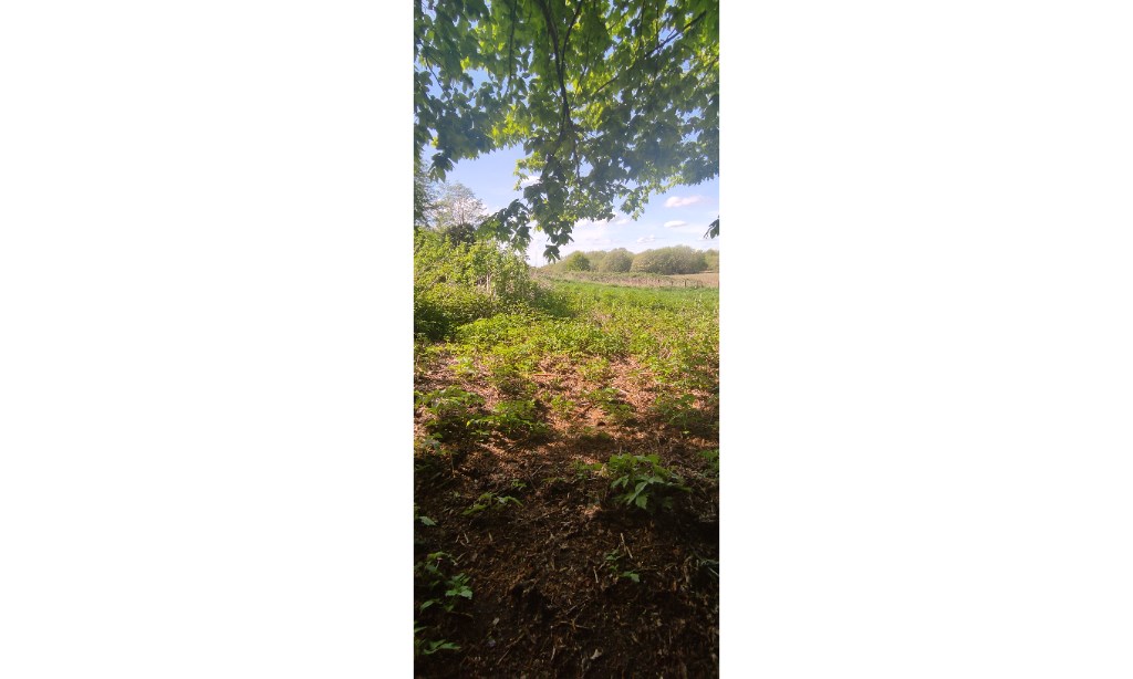 For the attention of Gloria Heathcote or Andrew Gray DOXEY C | Neighbourly